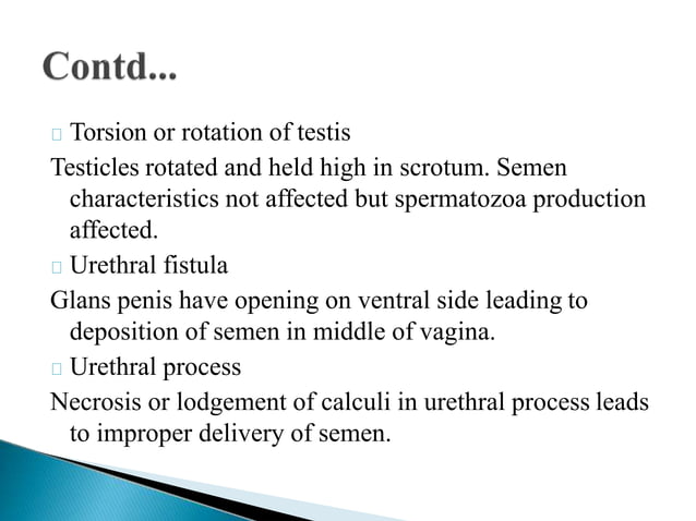 Causes of male infertility in cattle bull-.pptx