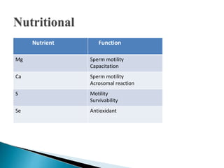 Causes of male infertility in cattle bull-.pptx
