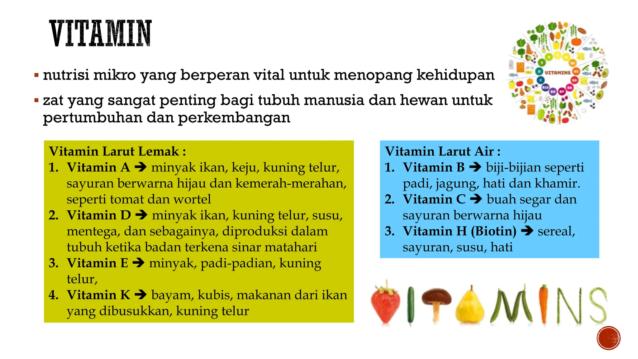 14. VITAMIN HORMON DALAM KEHIDUPAN SEHARI-HARI SERTA PERAN HOR.pdf