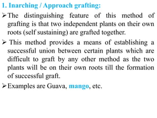 Plant propagation: Sexual and Asexual propapagation.pptx