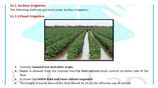 14. Methods of irrigation.pptx Methods of irrigation.pptx