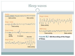 14. Sleep-physiology and disorders (K).pptx