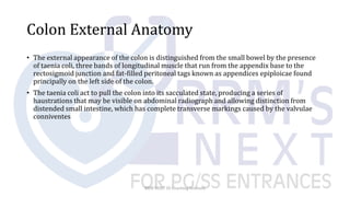 14. Large Bowel, Rectum and Anus.pdf management | PDF