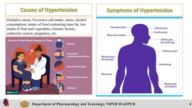 Hypertension pathophysiology, drugs and clinical research | PPT