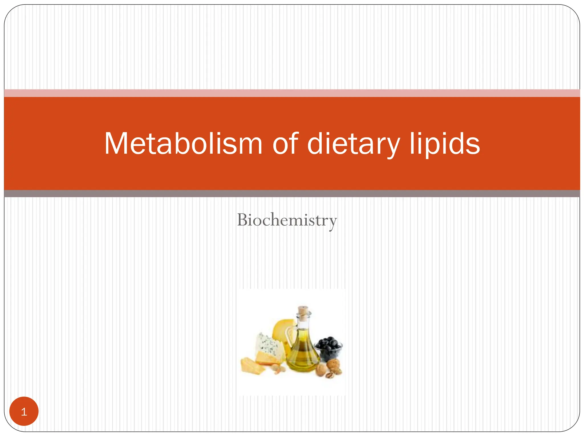 Metabolism of Dietary Lipids for Biochemistry | PPT