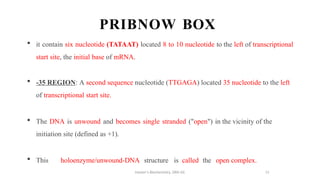 DPT - Biochemistry & Genetics - II (Molecular Biology) Transcription in ...