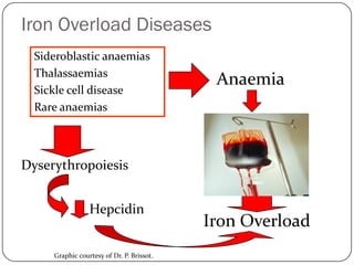 14. Iron overload in iron deficiency anemia | PDF | Digestive Disorders ...