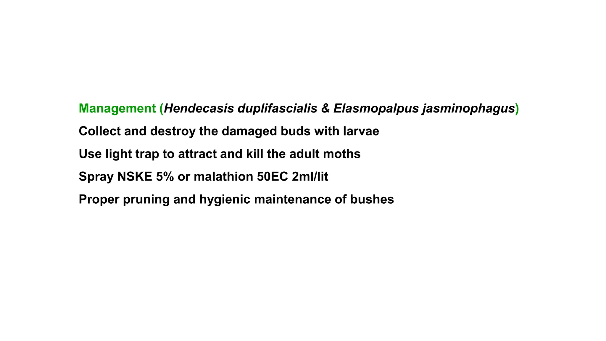 Pests of Jasmine_Identification_Dr.UPR.pdf