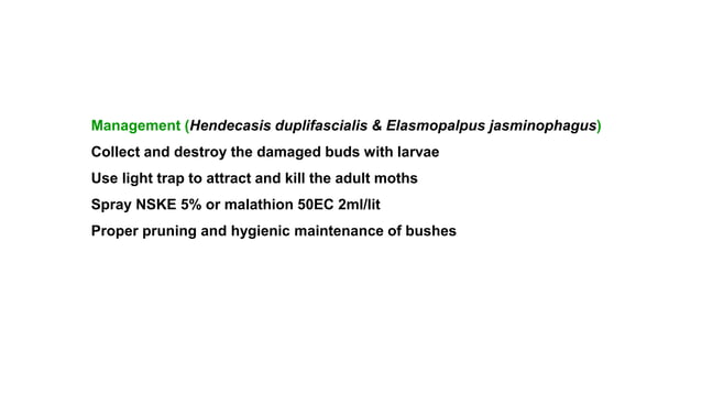 Pests of Jasmine_Identification_Dr.UPR.pdf