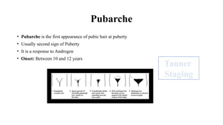 Anatomical and Physiological Aspect of Puberty | PPT