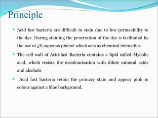 14. Acid fast staining Theory and Demo.ppt