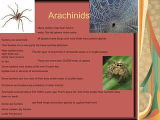 14 3 Arthropods | PPT