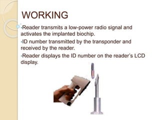 biochip technology | PPT