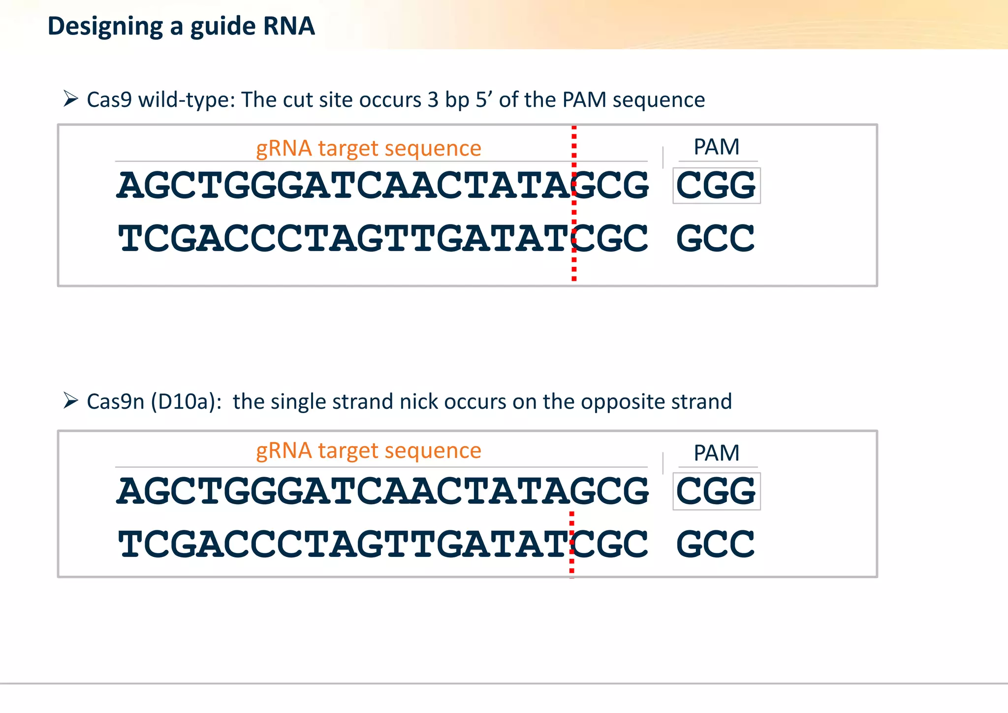 CRISPR - gene-editing for everyone | PPTX