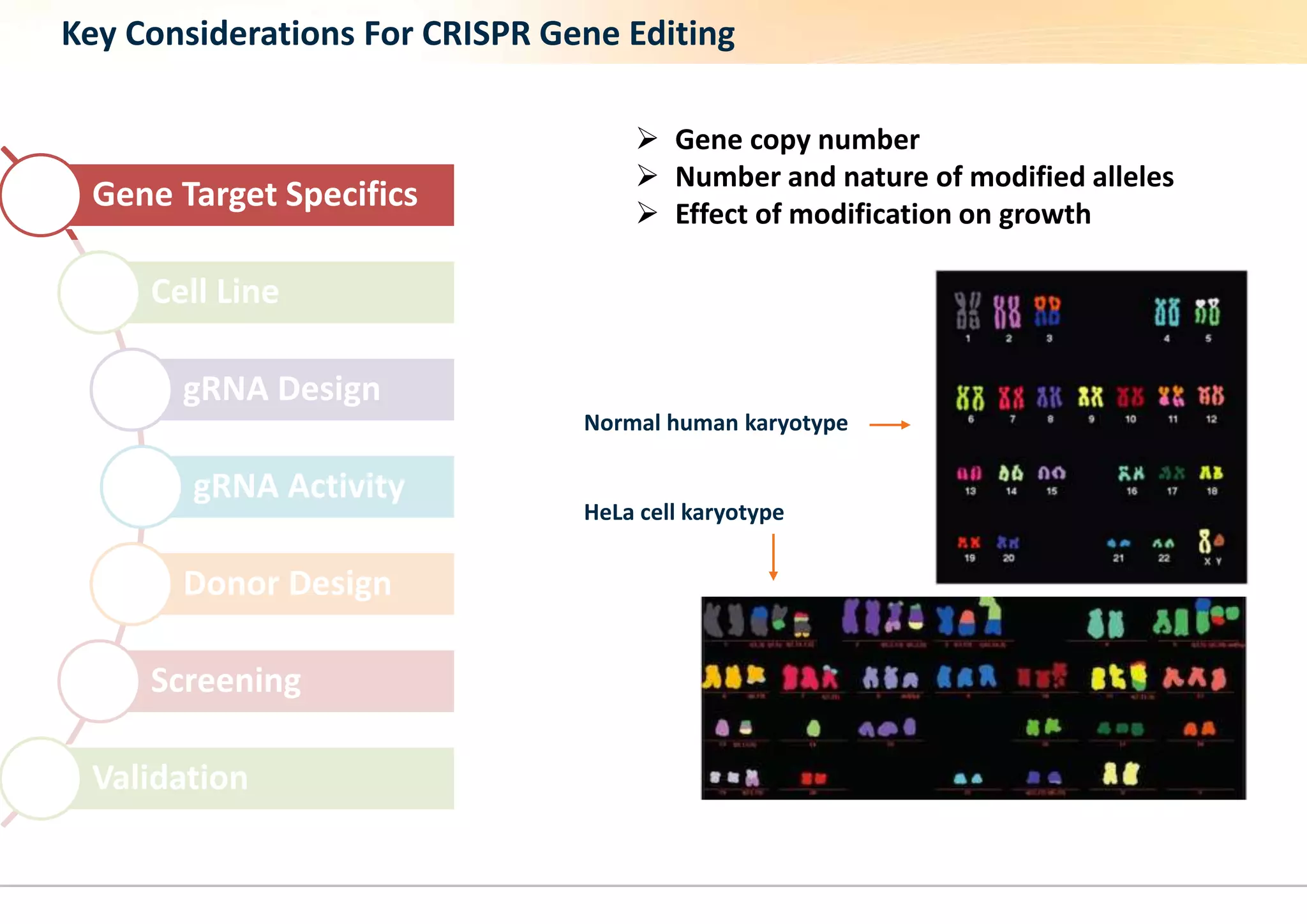 CRISPR - gene-editing for everyone | PPTX