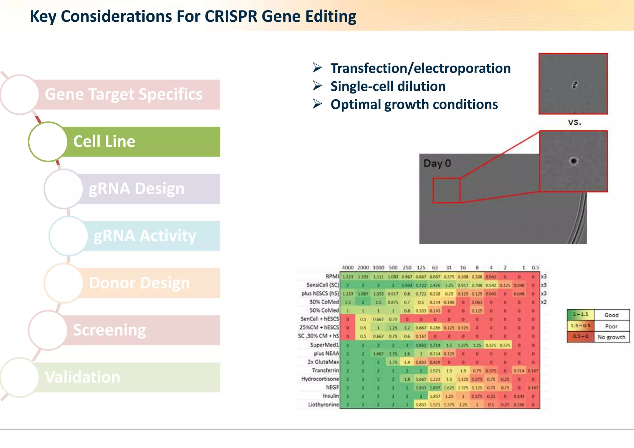 CRISPR - gene-editing for everyone | PPTX