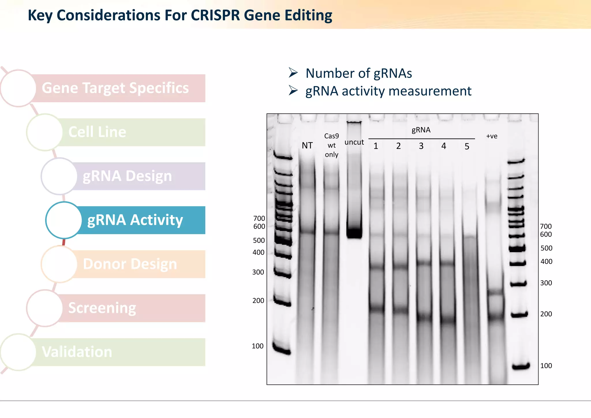 CRISPR - gene-editing for everyone | PPTX