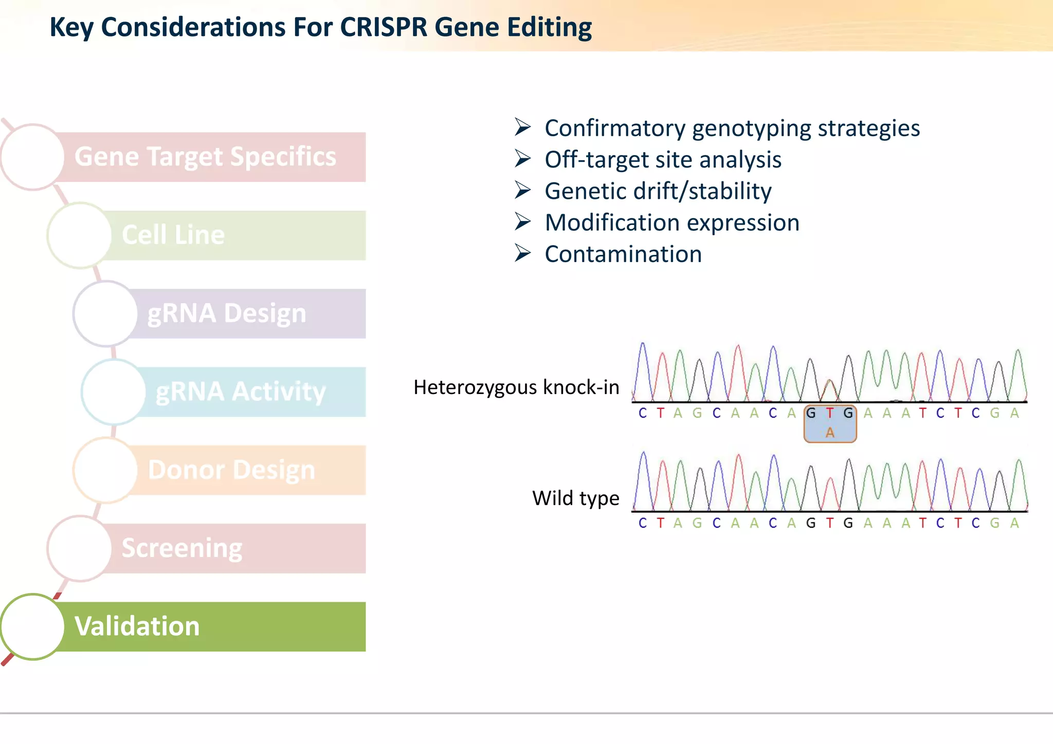 CRISPR - gene-editing for everyone | PPTX