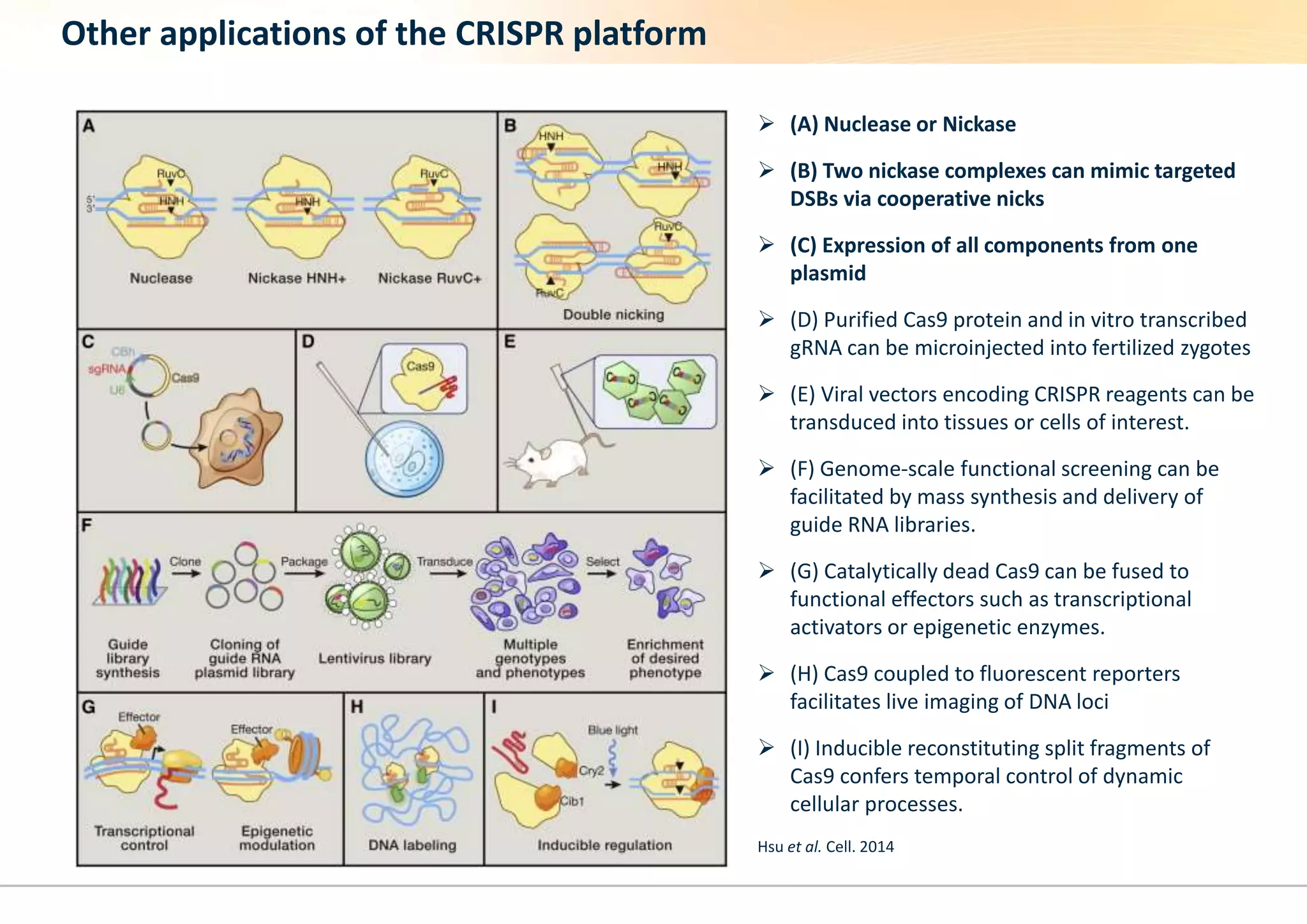 CRISPR - gene-editing for everyone | PPTX