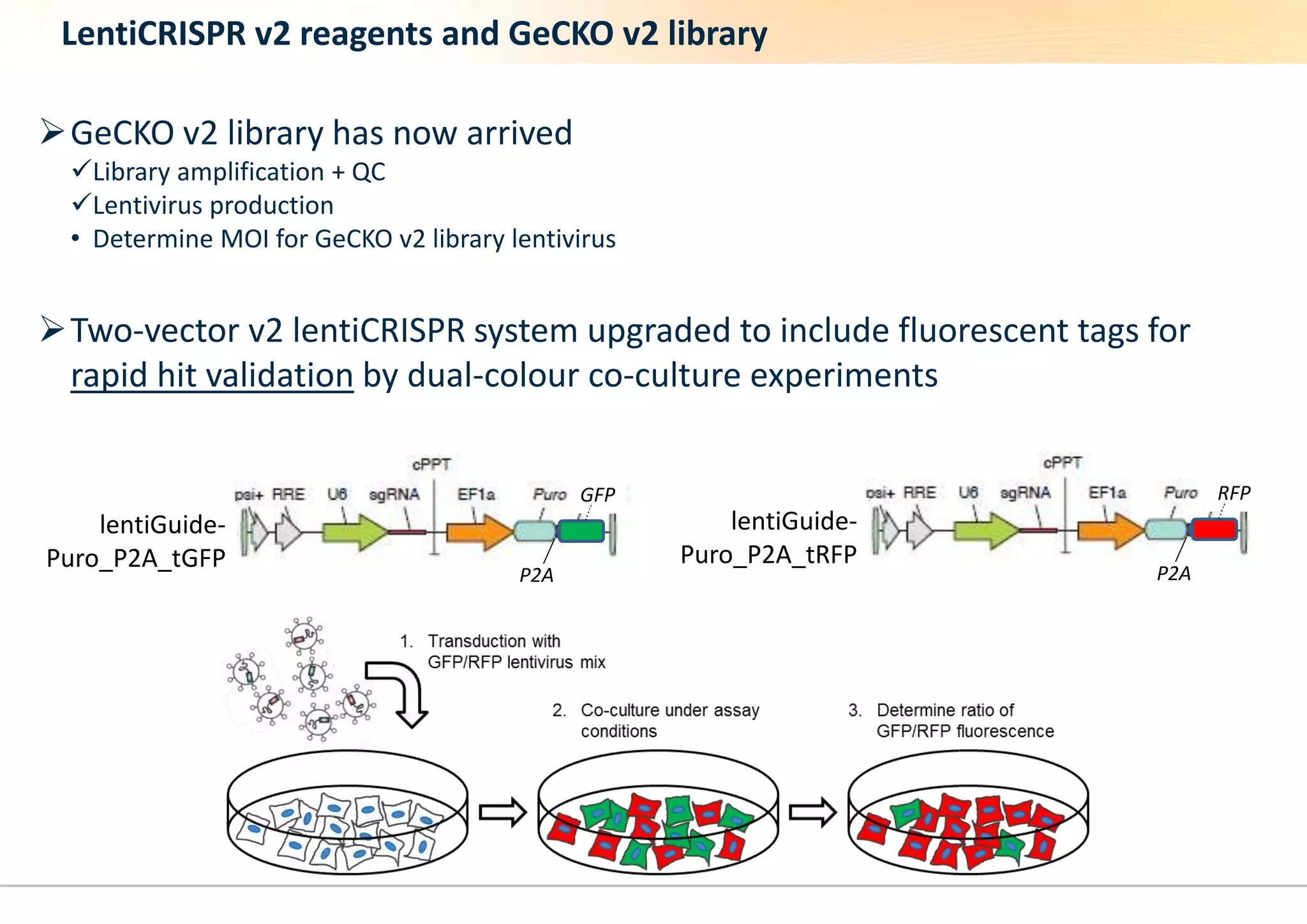 CRISPR - gene-editing for everyone | PPTX