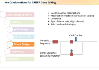 CRISPR - gene-editing for everyone | PPTX