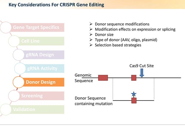 CRISPR - gene-editing for everyone | PPTX | Programming Languages ...