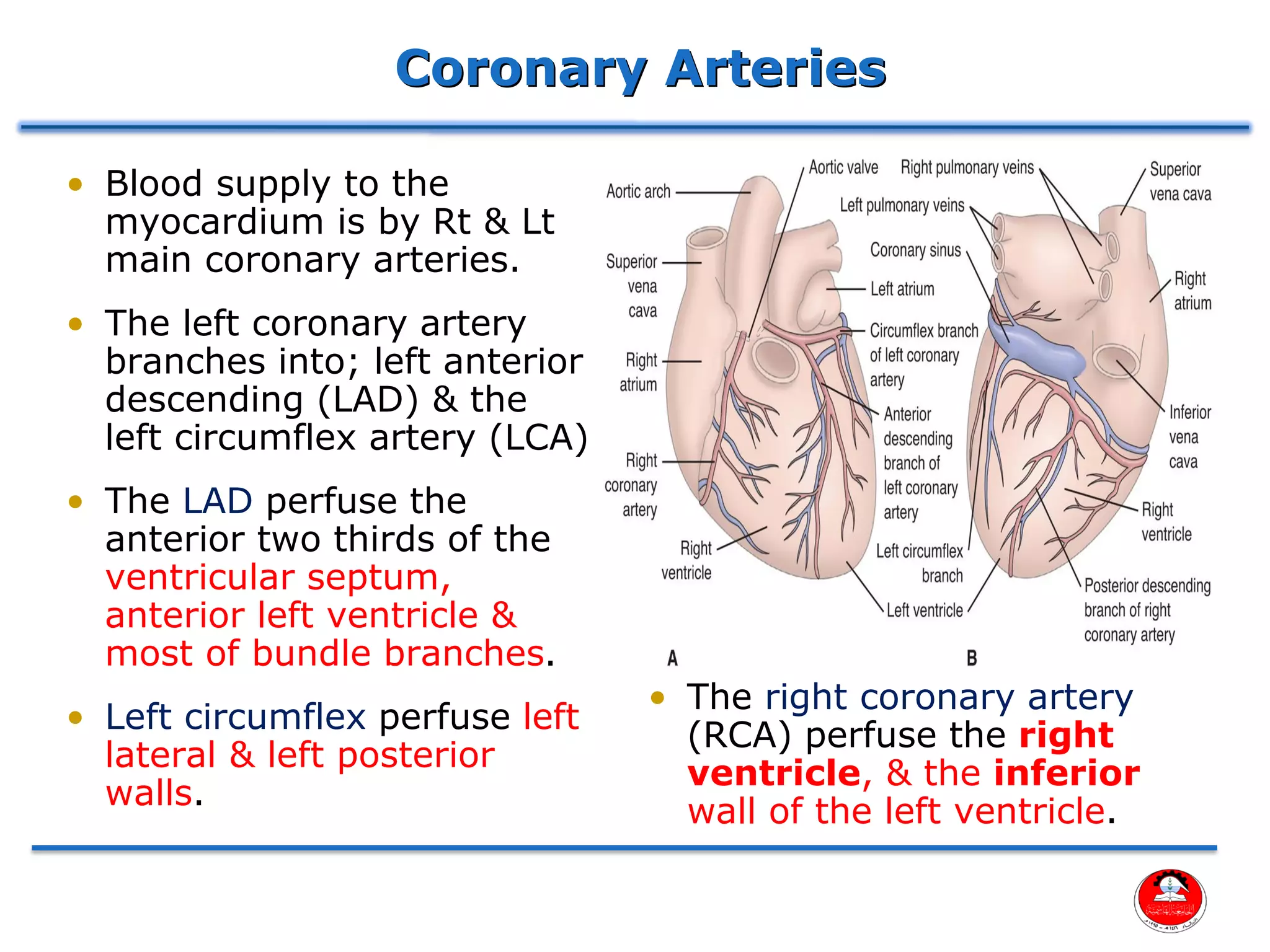 14- Acute Myocardial Infarction.pdf