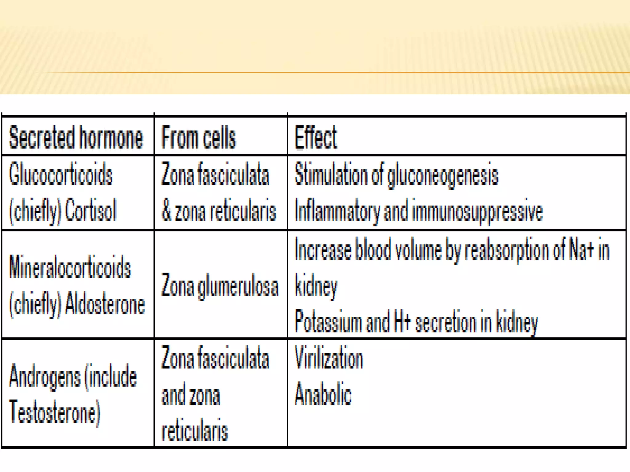 ENDOCRINE SYSTEM OF A GOAT | PPTX