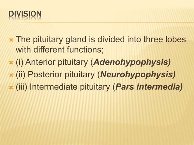 ENDOCRINE SYSTEM OF A GOAT | PPTX