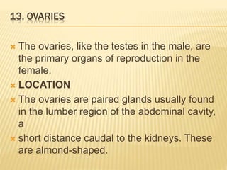 ENDOCRINE SYSTEM OF A GOAT | PPTX