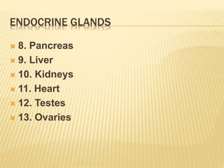 ENDOCRINE SYSTEM OF A GOAT | PPTX