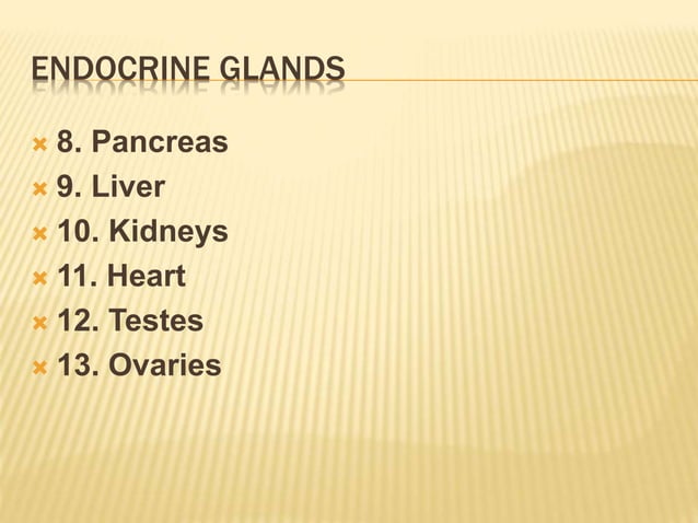 ENDOCRINE SYSTEM OF A GOAT | PPTX