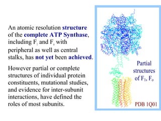 14 atpase | PPT