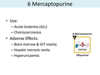 Mercaptopurine Side Effects