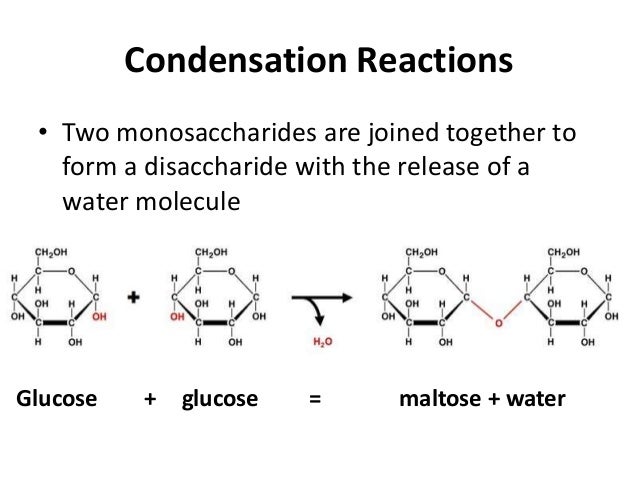 Carbon and Carbohydrates