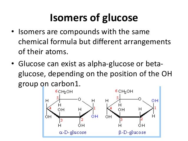 Carbon and Carbohydrates