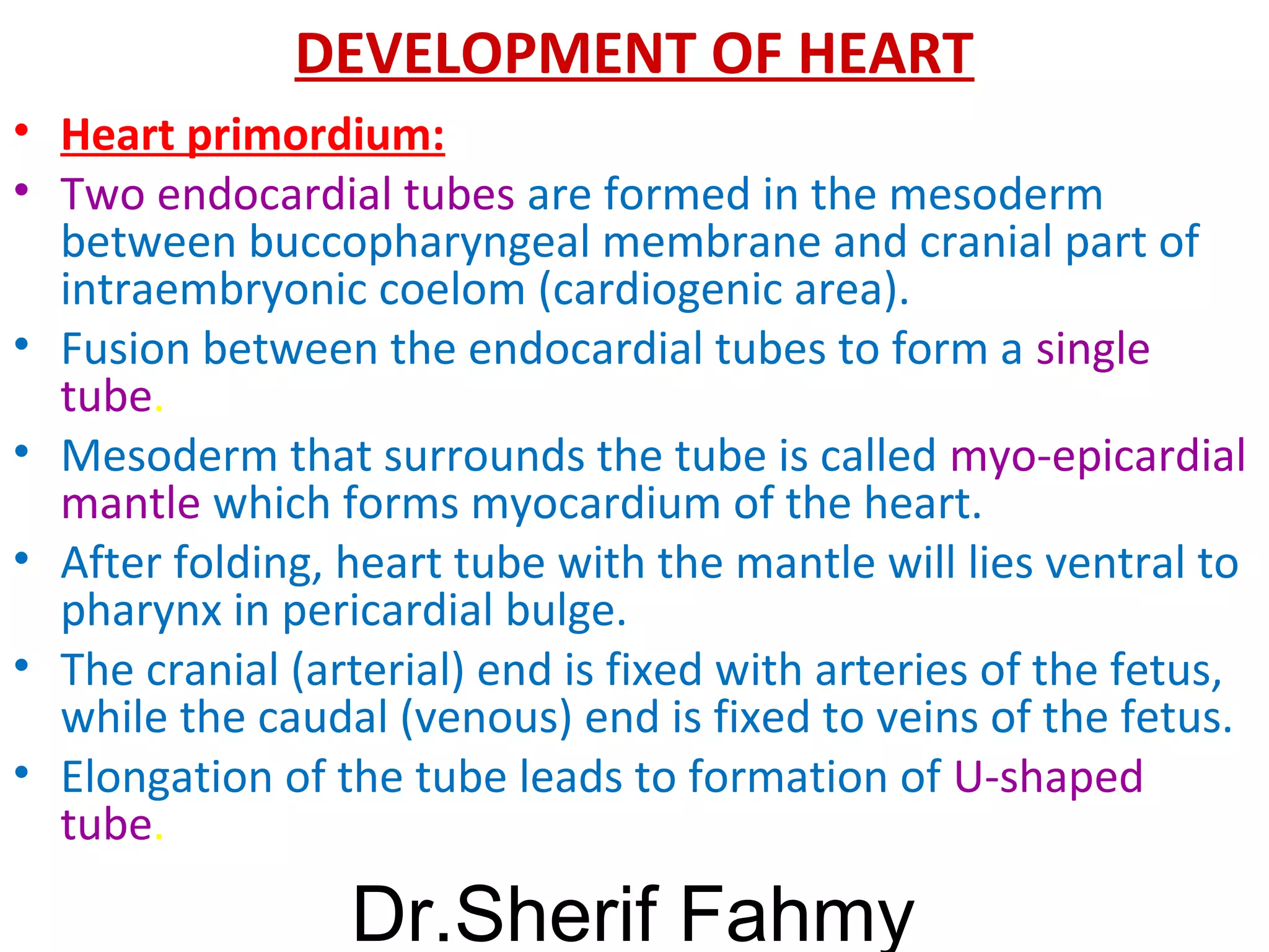 Development of Cardiovascular System (Special Embryology) | PPT