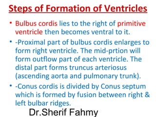 Development of Cardiovascular System (Special Embryology) | PPS
