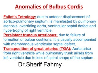 Development of Cardiovascular System (Special Embryology) | PPS