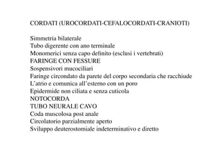 14.cordati | PDF