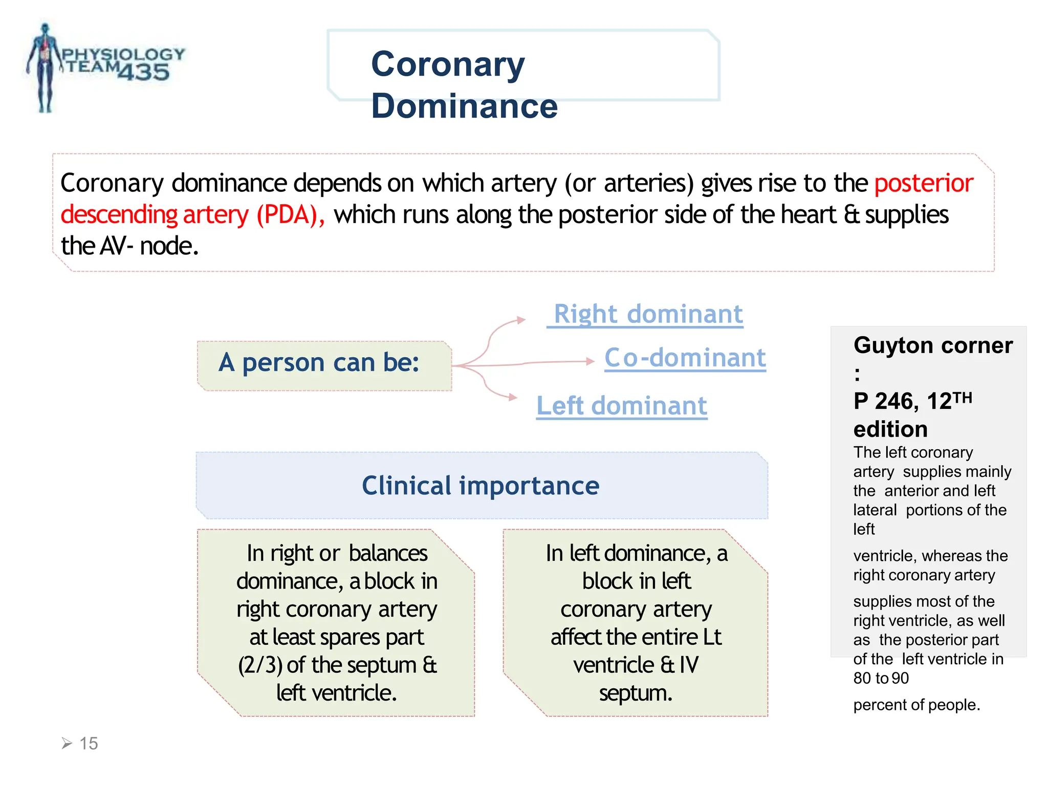 14- Coronary circulation .pptx,Coronary circulation .pptx
