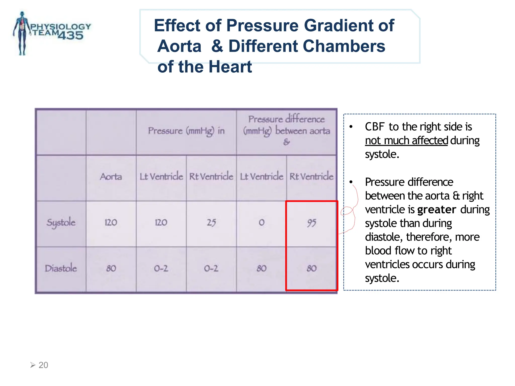 14- Coronary circulation .pptx,Coronary circulation .pptx