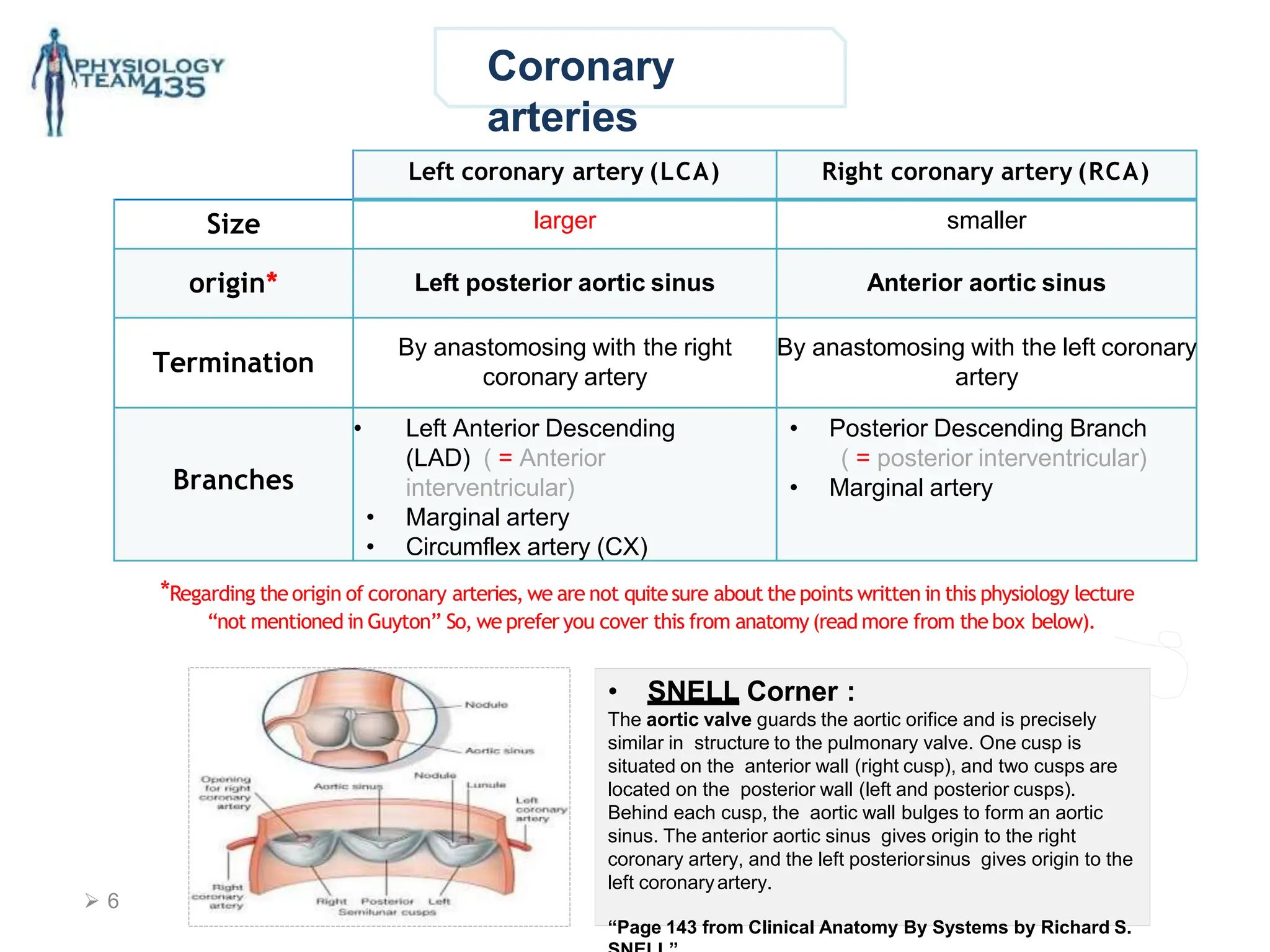 14- Coronary circulation .pptx,Coronary circulation .pptx