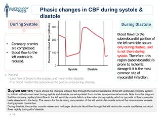 14- Coronary circulation .pptx,Coronary circulation .pptx