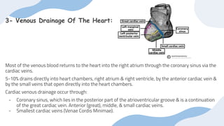 circulation system of coronaries of heart | PDF