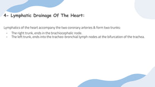 circulation system of coronaries of heart | PDF
