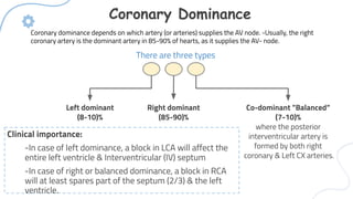 circulation system of coronaries of heart | PDF