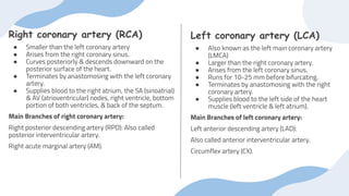 circulation system of coronaries of heart | PDF