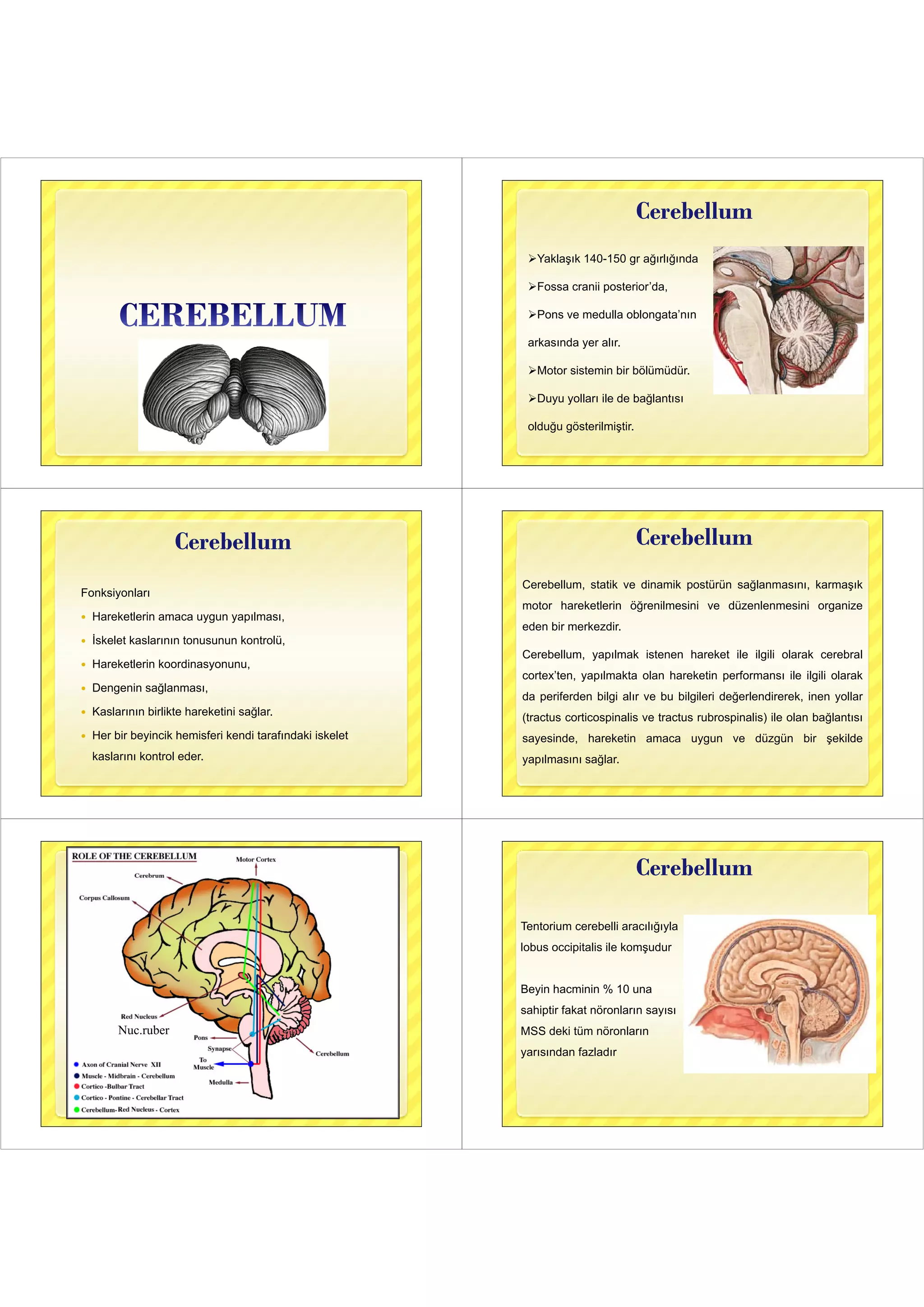 14 dis hek-3-cerebellum-diencephalon-basalcekirdek-2015 | PDF