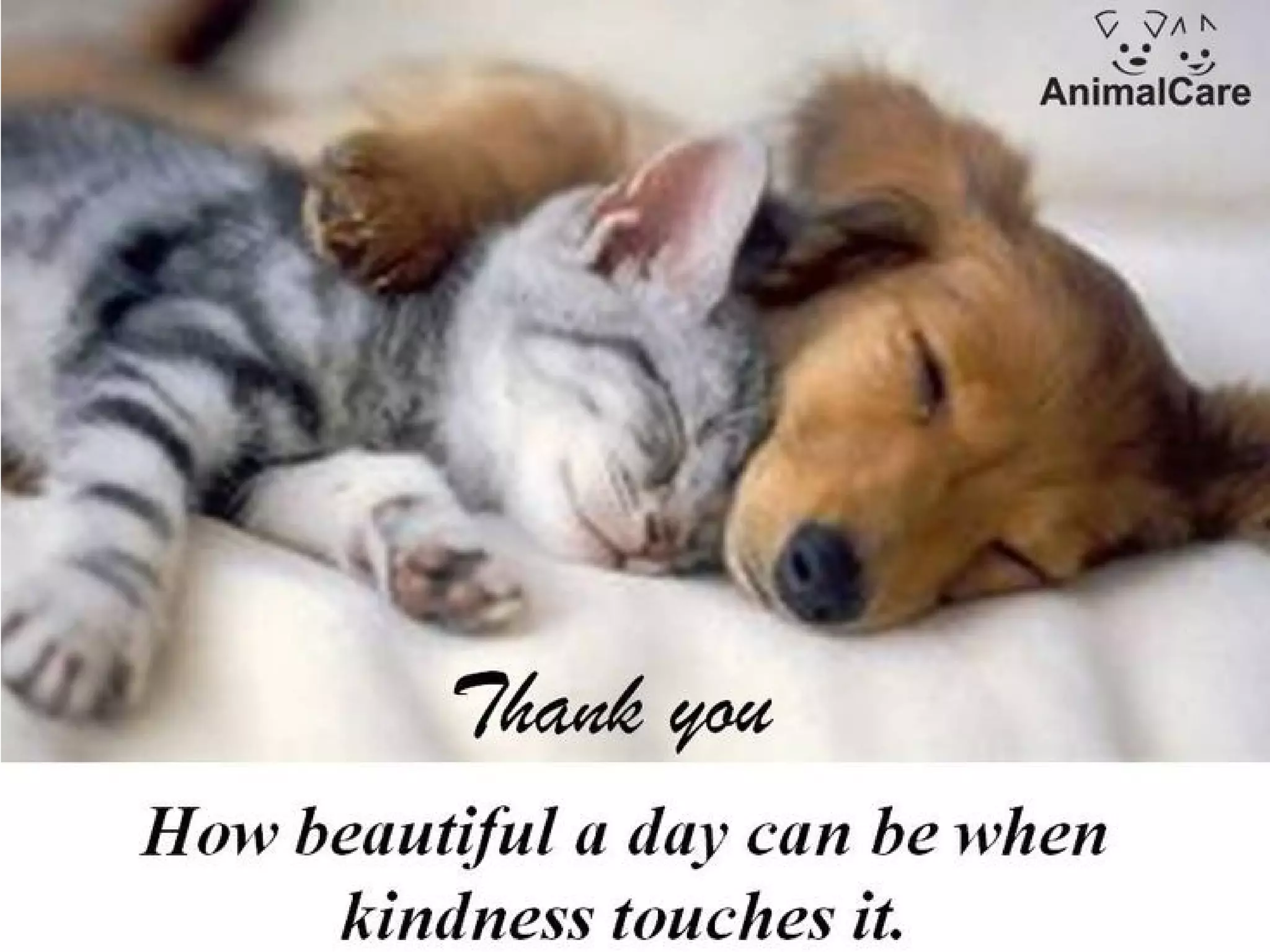 14 emergency response chart ground incidents | PPT